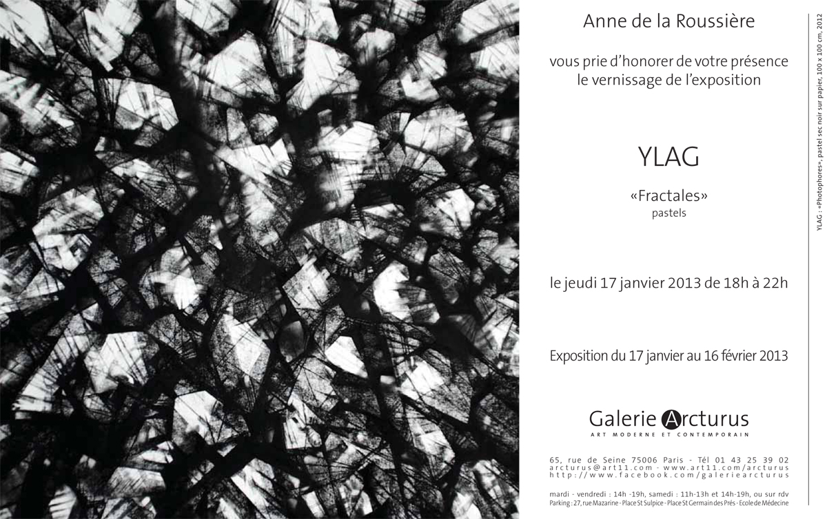 YLAG Fractales, Galerie Arcturus, Paris 2013 - YLAG